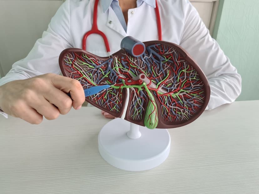 Hepatite autoimune: principais sinais e cuidados após o diagnóstico ...